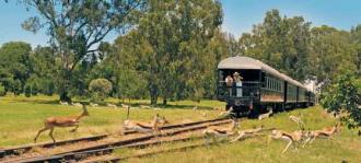 Rovos Rail, Pride of Africa: alle Reisen des Luxuszugs
